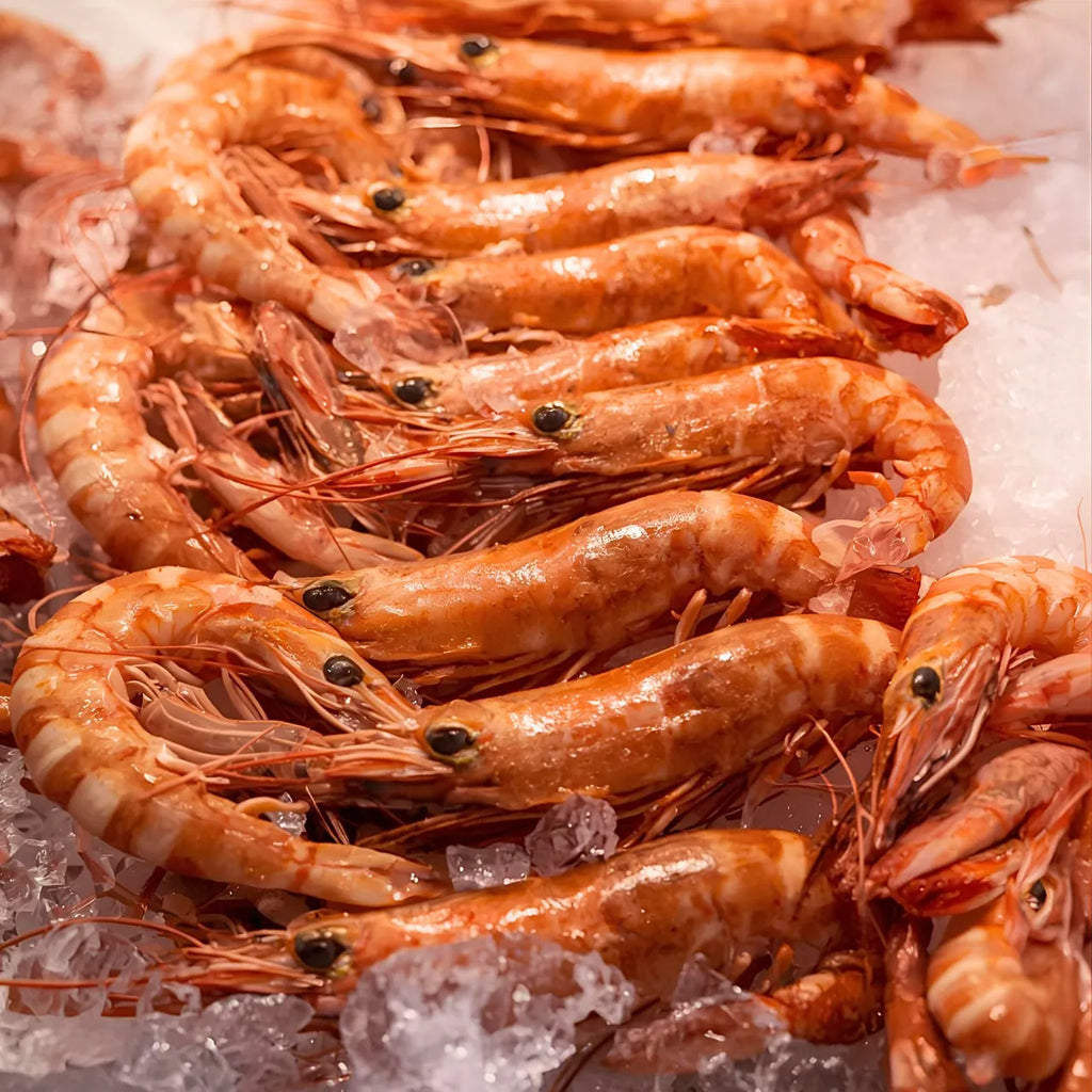Cooked Tiger Prawn – Depachika